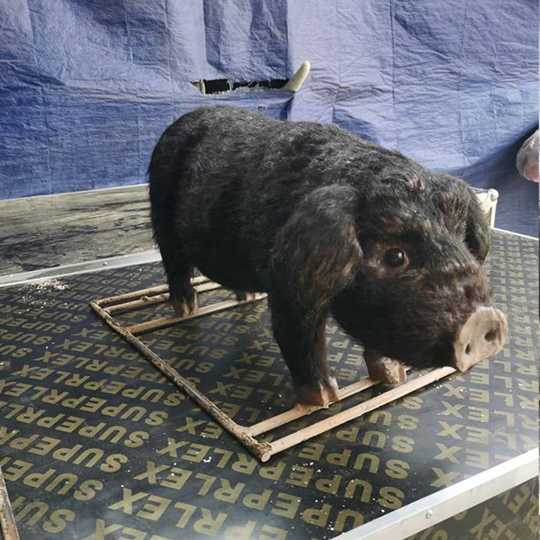Realistic Mechanical Lifesize 3D Animatronic Animal Robot Model
